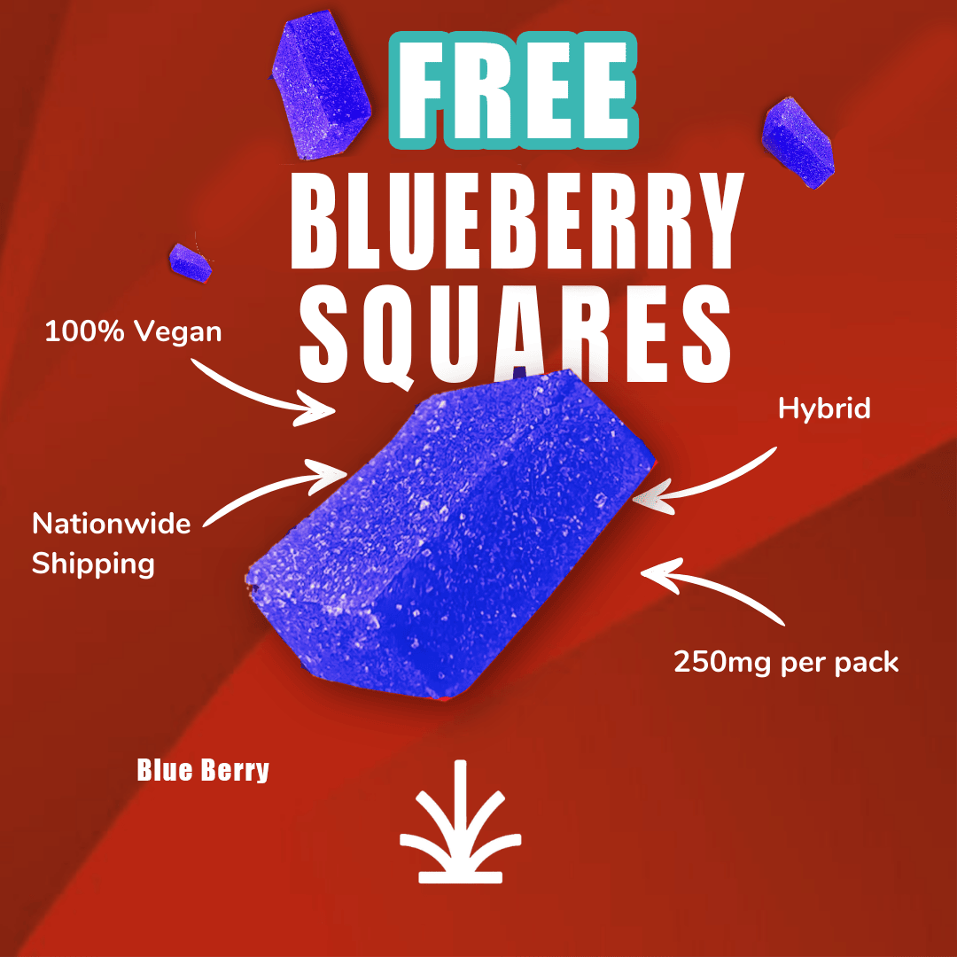 FREE Blueberry Square Samples